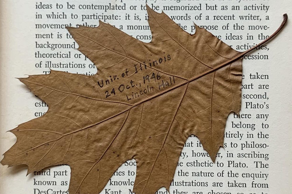 A leaf for the pages | College of Liberal Arts & Sciences | Illinois