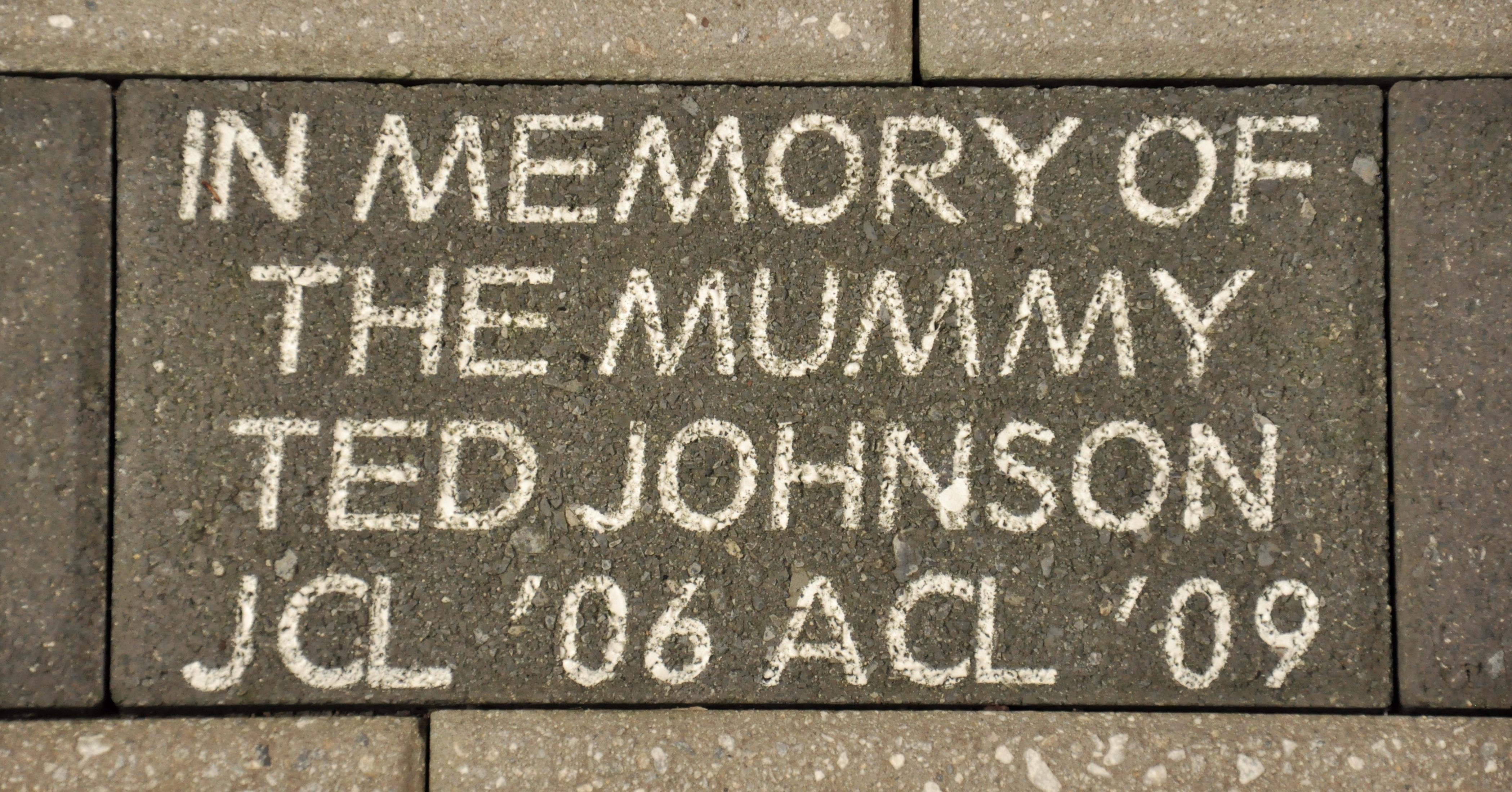 Ted Johnson | College of Liberal Arts & Sciences | Illinois