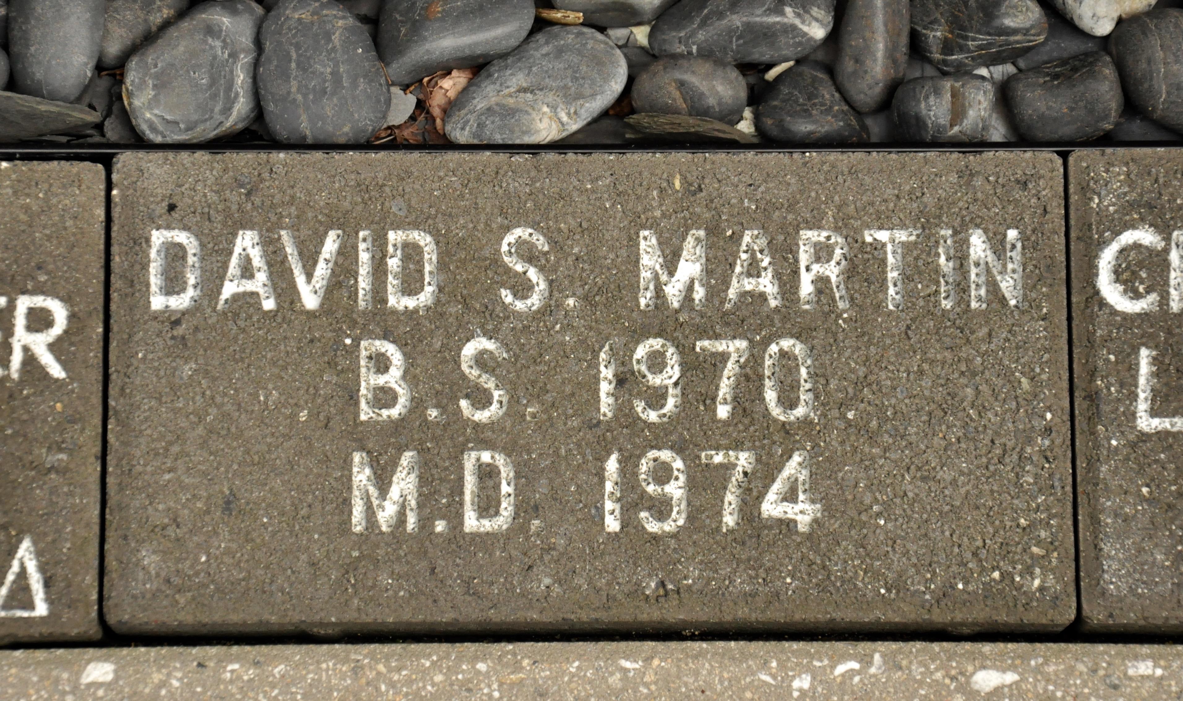 David S. Martin | College of Liberal Arts & Sciences | Illinois
